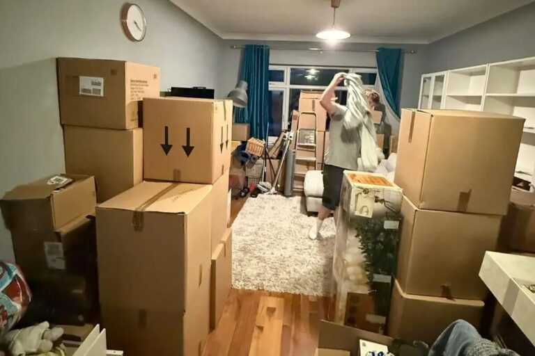 Boxes & Storage - Next Step Removals